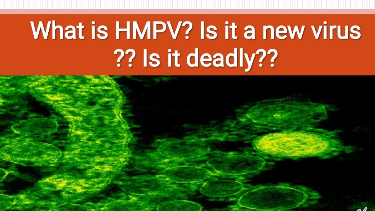 HMPV VIRUS, Is it a new virus?? Is it deadly? How to test.Test Report ...