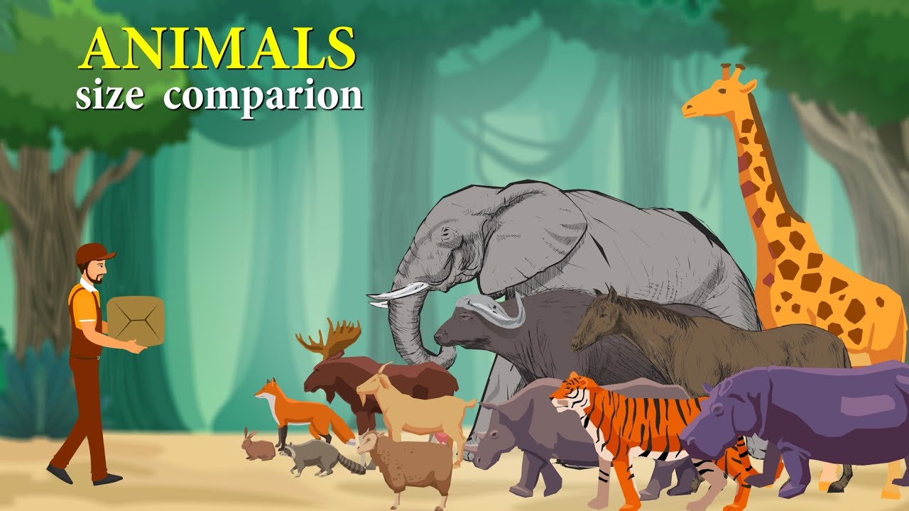 wild Animals size comparison | prehistoric Animals Size Animation ...