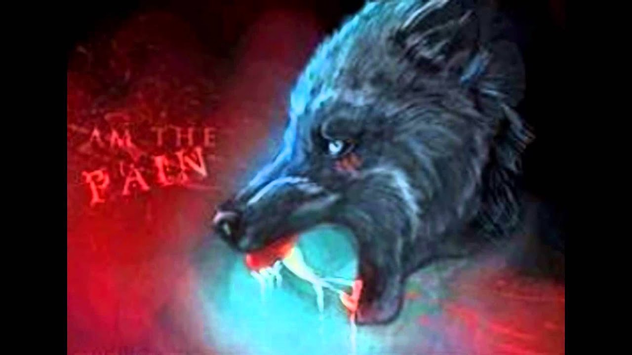 anime wolves pain - YouTube