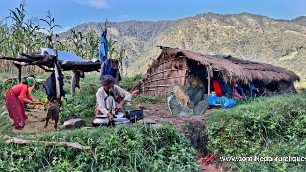 This is himalayan most peaceful nepali village lifestyle|hari rokaya ...