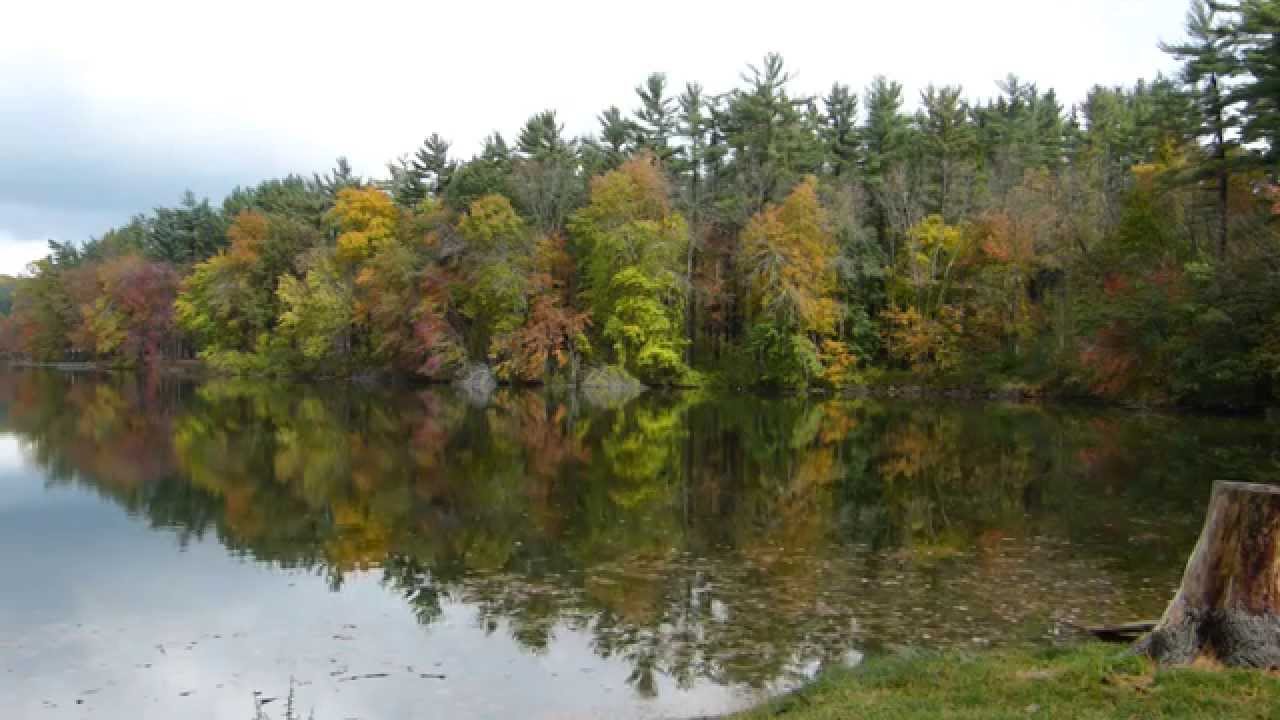 Lake Williams - Autumn Video - William Kain Park - YouTube