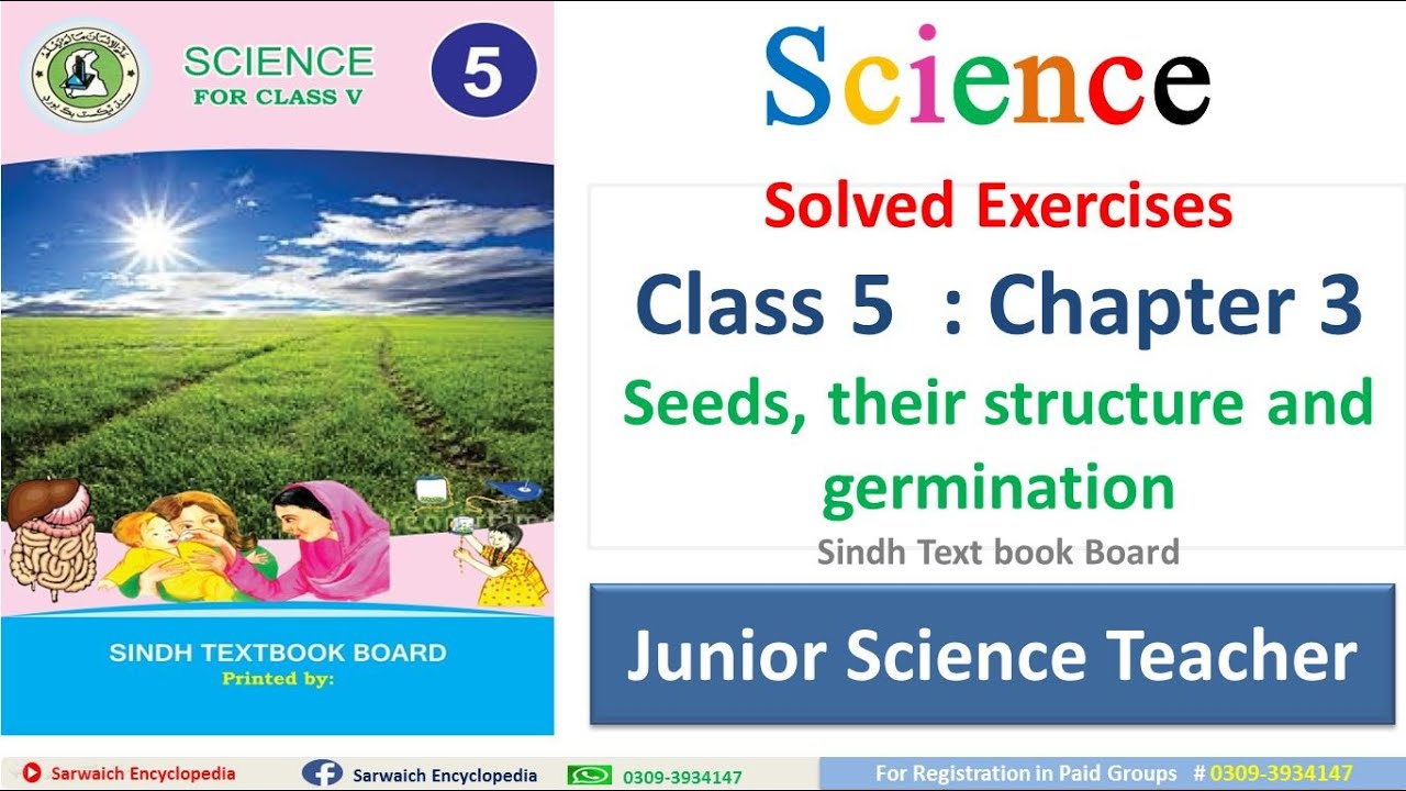 Science Class 5 - Chapter 3 | Solved Exercises | Junior Science Teacher ...