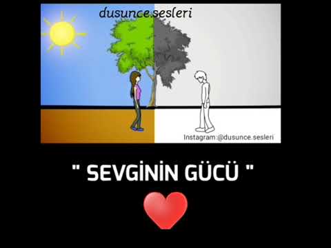 whatsapp durumları