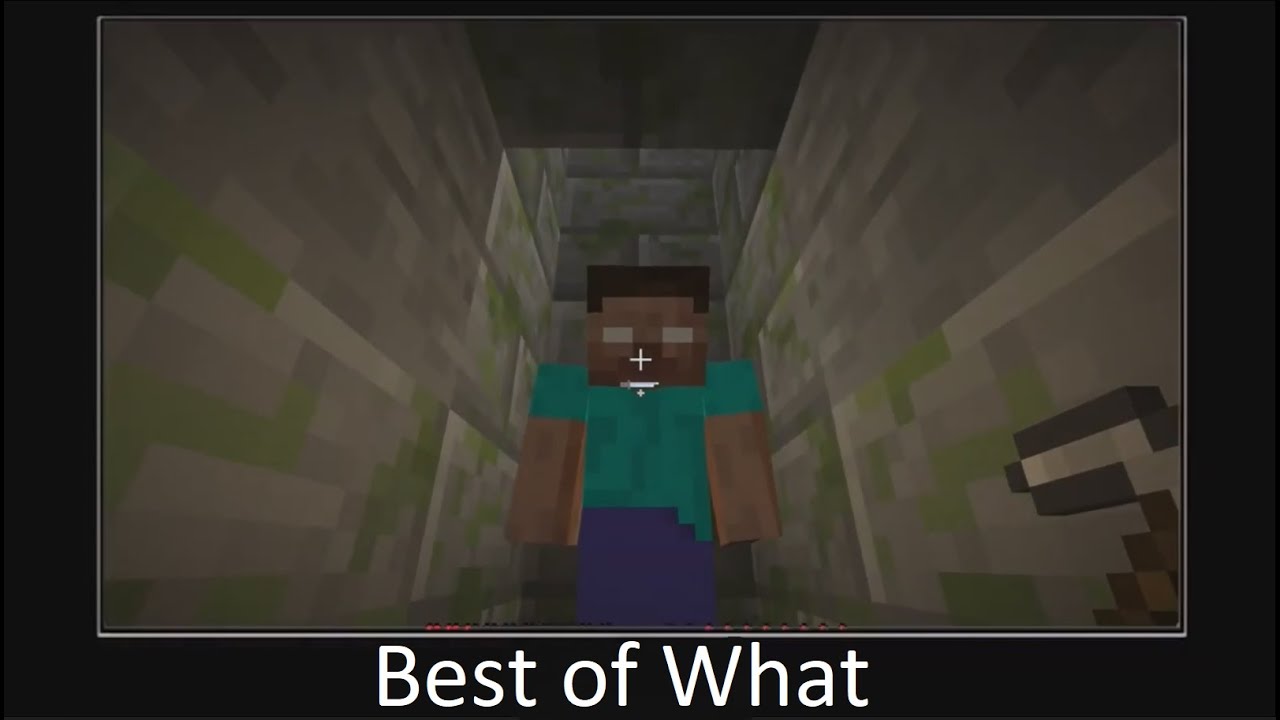The Best of WAIT WHAT??? MEME (Minecraft) - YouTube