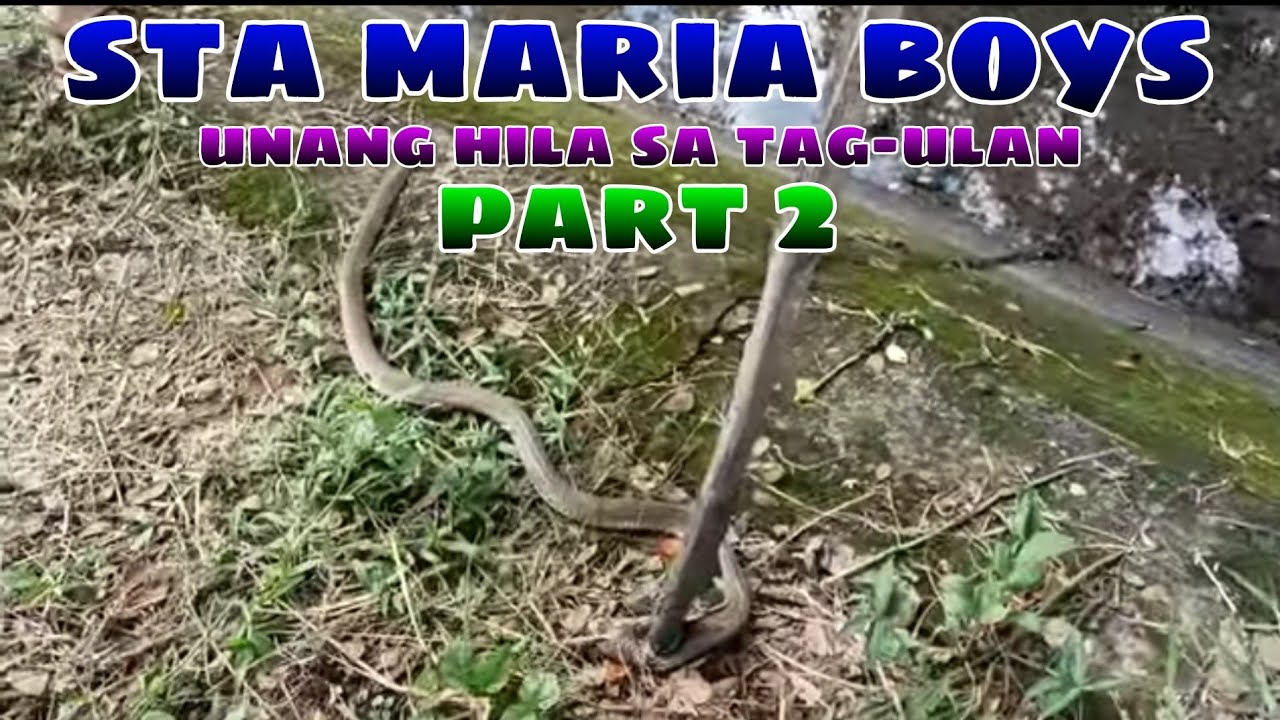 EP,320. BUHAY BUKID unang hila sa tag-ulan part 2. - YouTube
