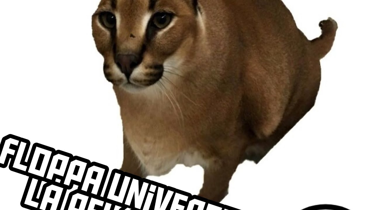 ♥️//FLOPPA UNIVERSO//♥️//LA PELÍCULA//♥️ - YouTube