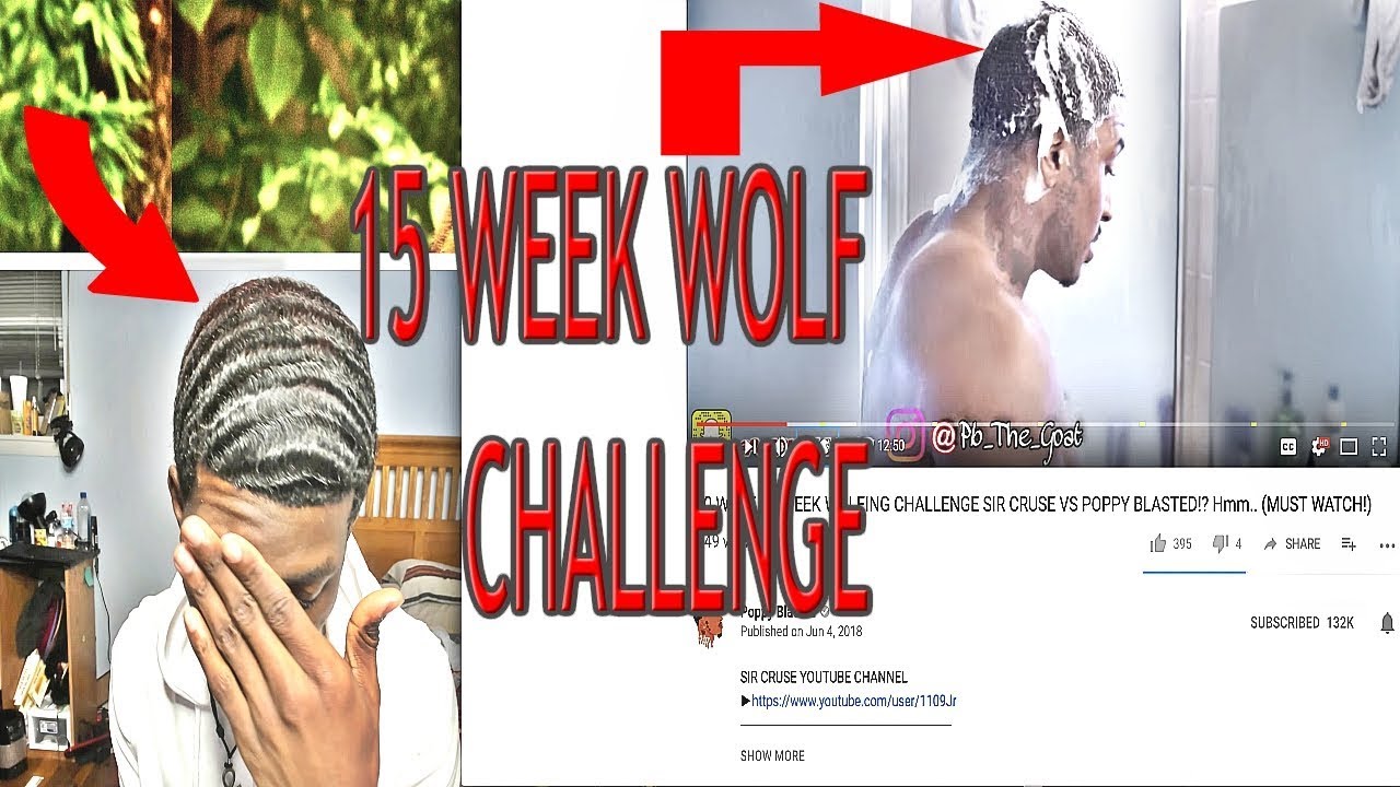 360 WAVES: 15 WEEKS WOLFIN! SIR CRUSE VS POPPY BLASTED (REACTION VIDEO ...