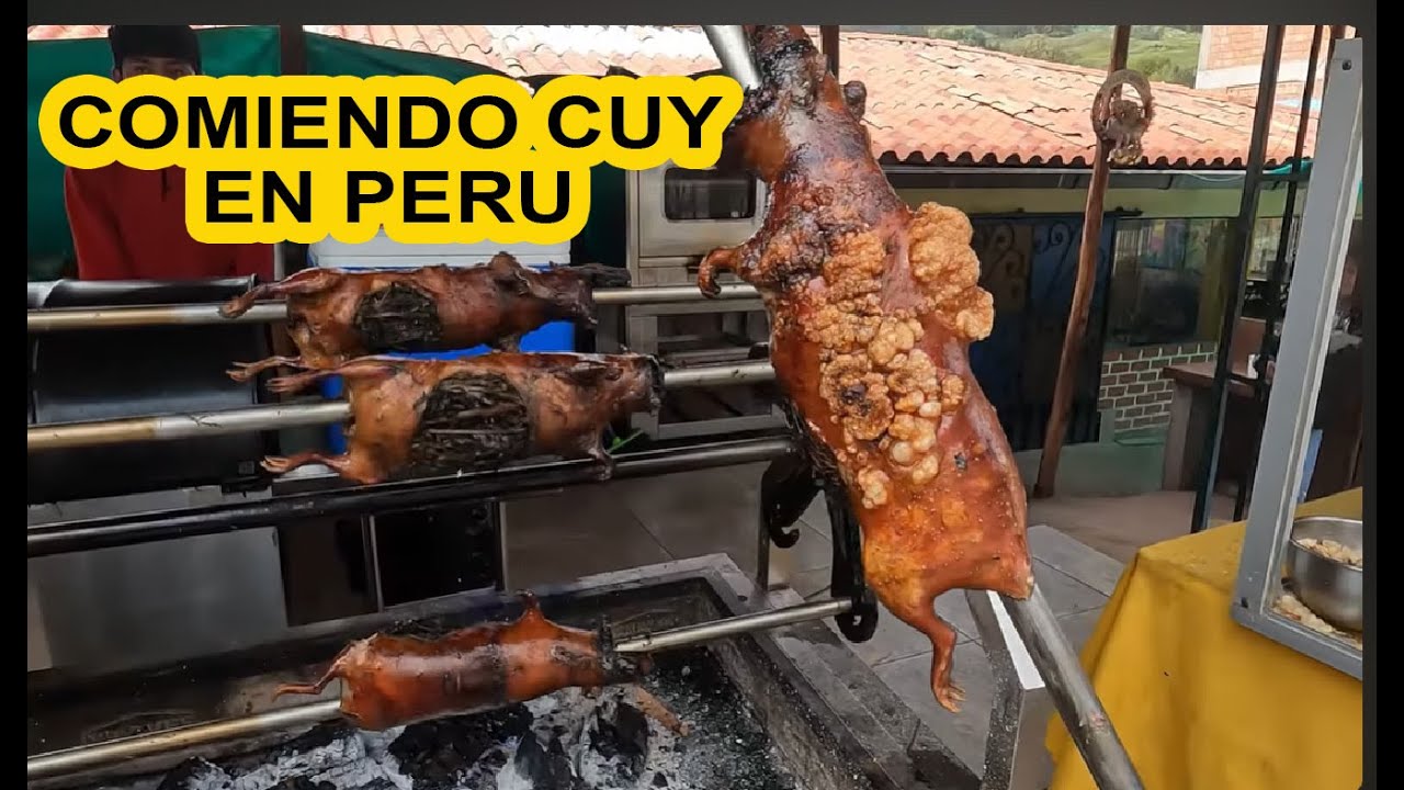 PROBANDO CUY POR PRIMER VEZ, GASTRONOMIA PERUANA - YouTube