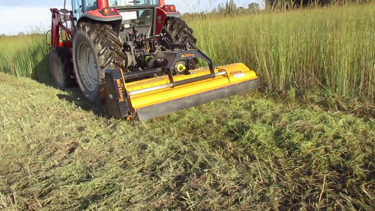 Managing Setaria dominant pasture using a Muthing 8 ft Low Body Mulcher ...