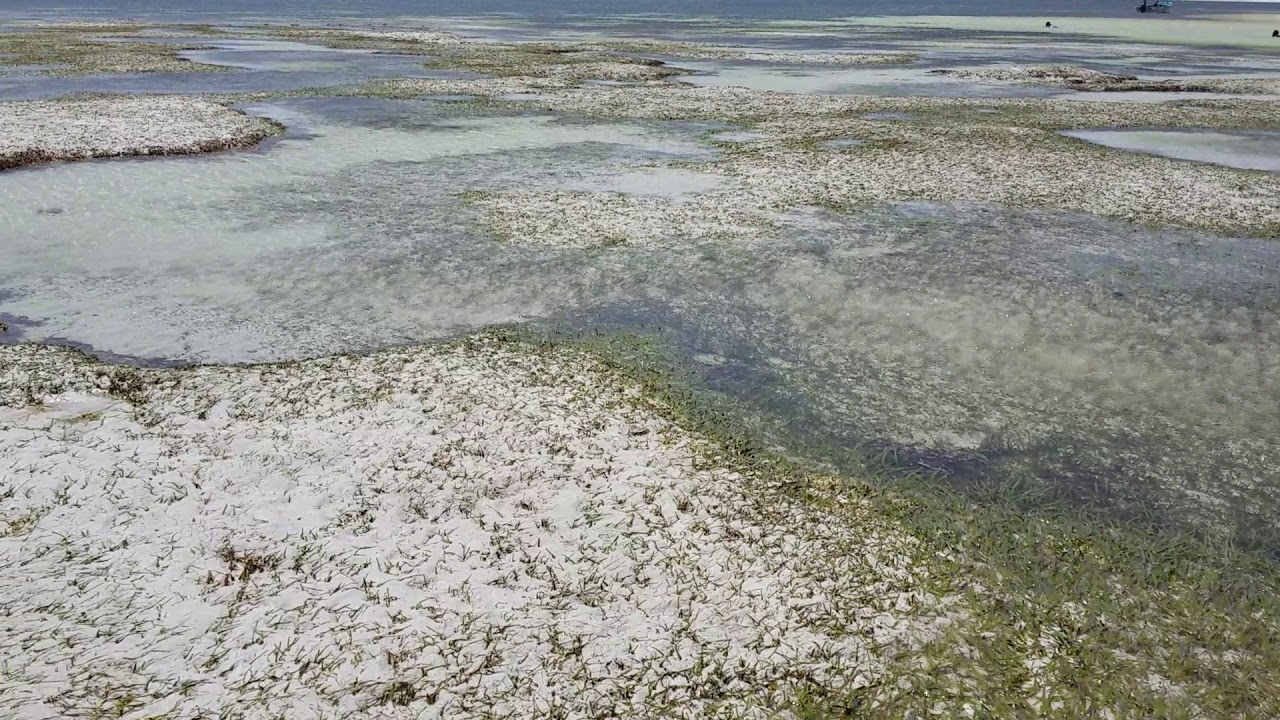 A beach without water/Jazera beach. - YouTube