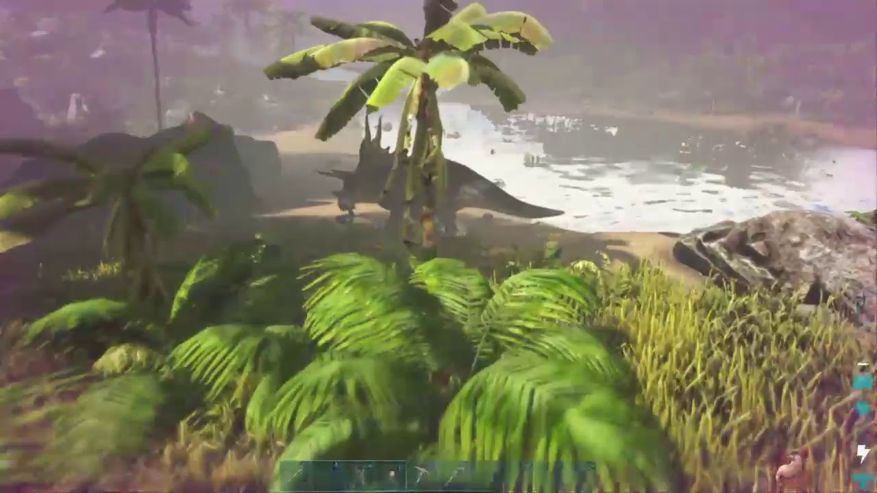 Ark Stream - YouTube