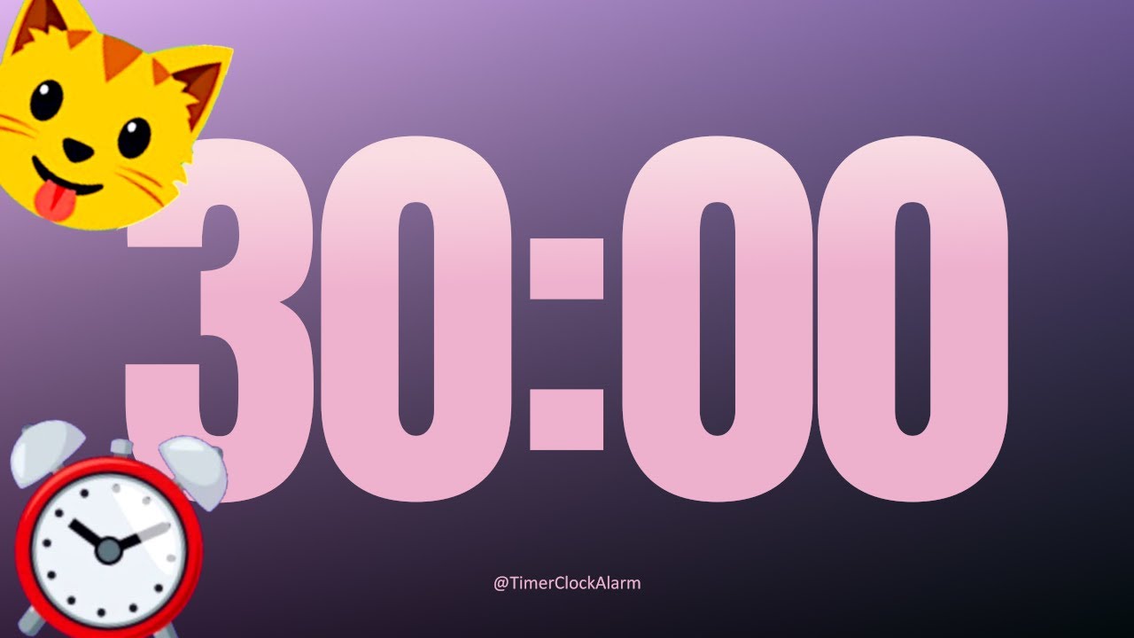 30 Minute Timer Countdown - YouTube