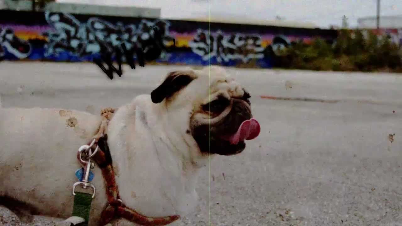 What is Mean Pugging? - YouTube