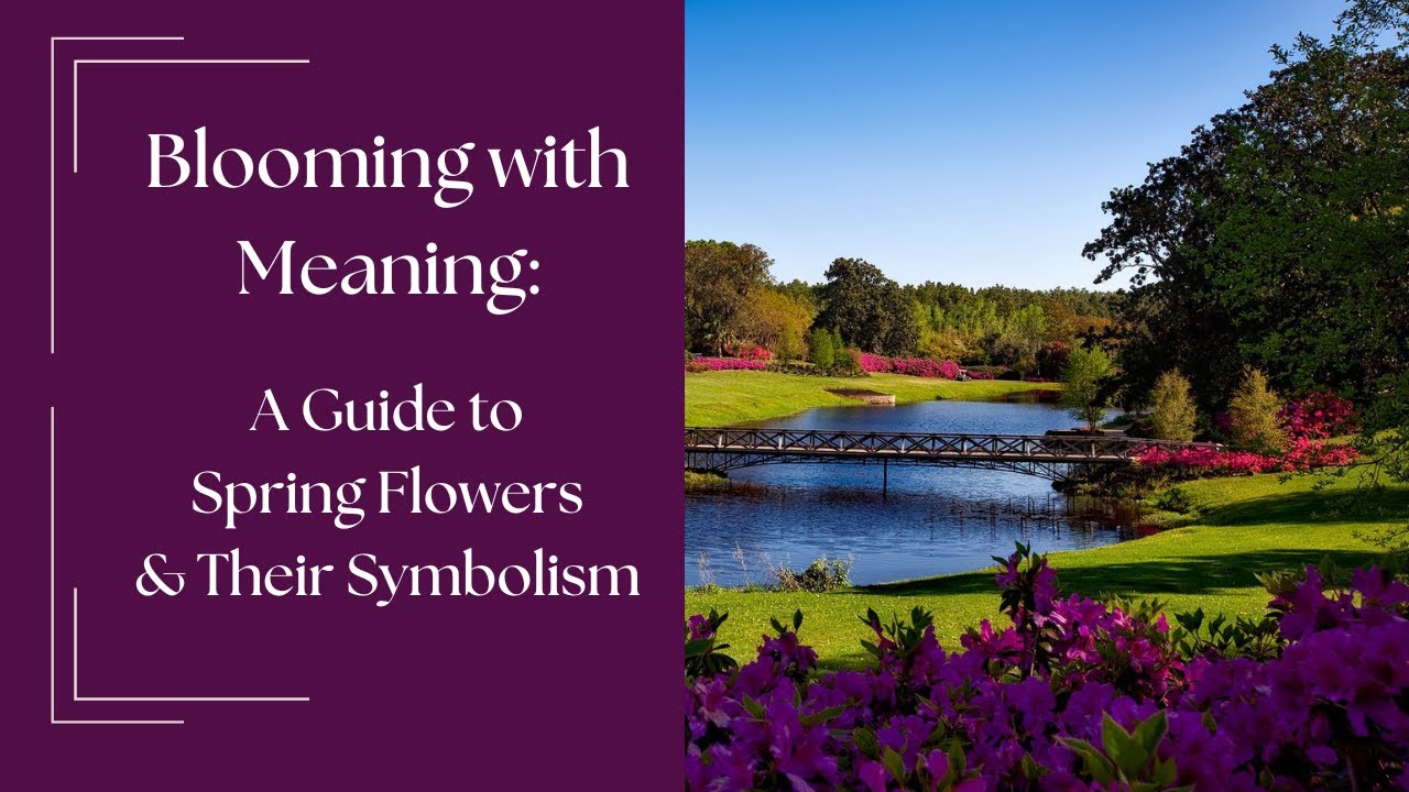 Blooming with Meaning: A Guide to Spring Flowers and Their Symbolism ...
