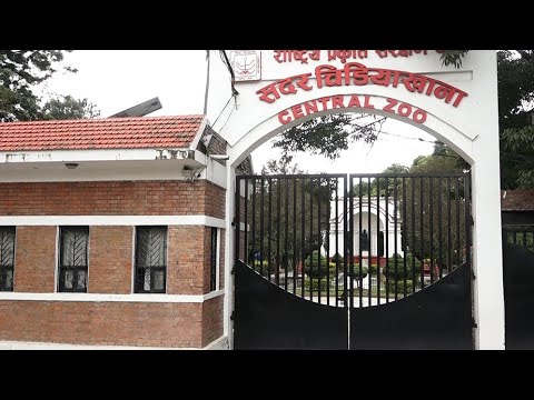 Central Zoo of Nepal | Tour of Zoo | Zoo Animals - YouTube