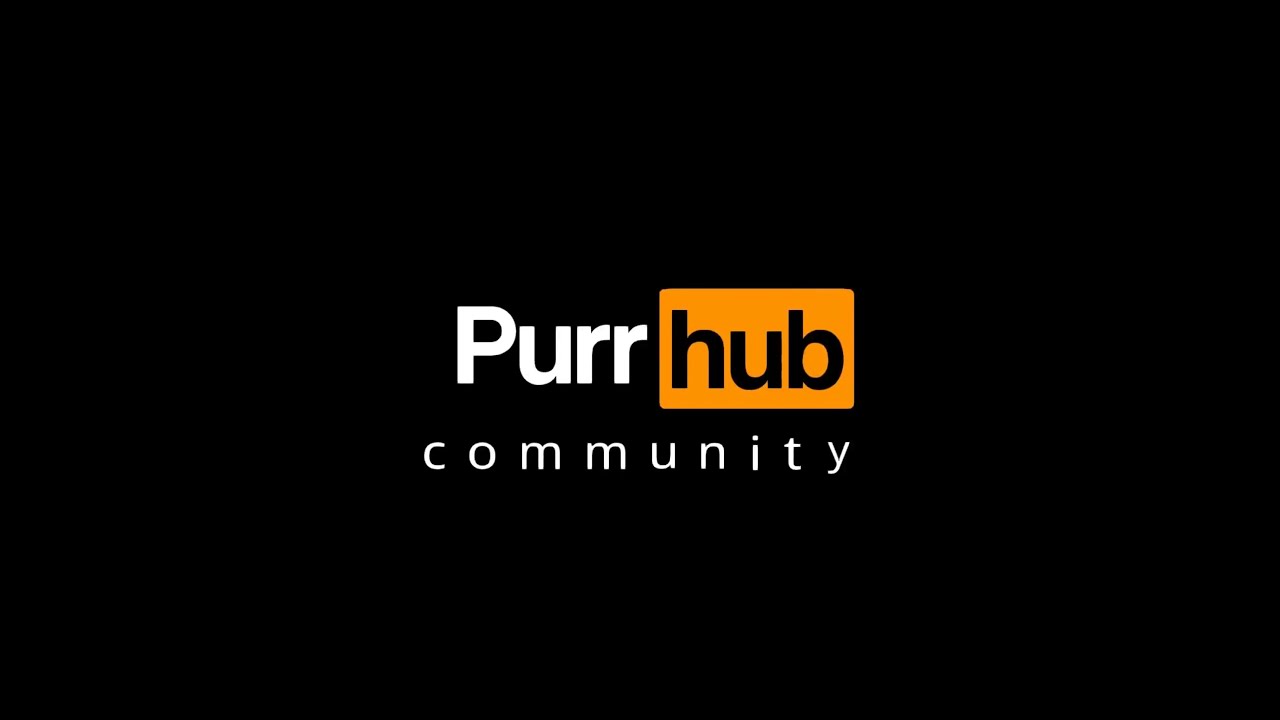 PurrHub - YouTube