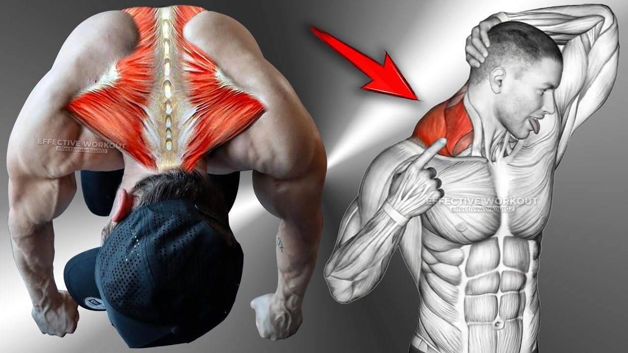 8 BEST Exercises for Bigger Traps Workout - YouTube