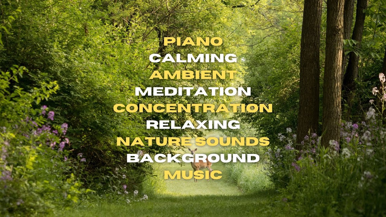 Calming relaxing ambient music, helps to concentrate, study or play ...