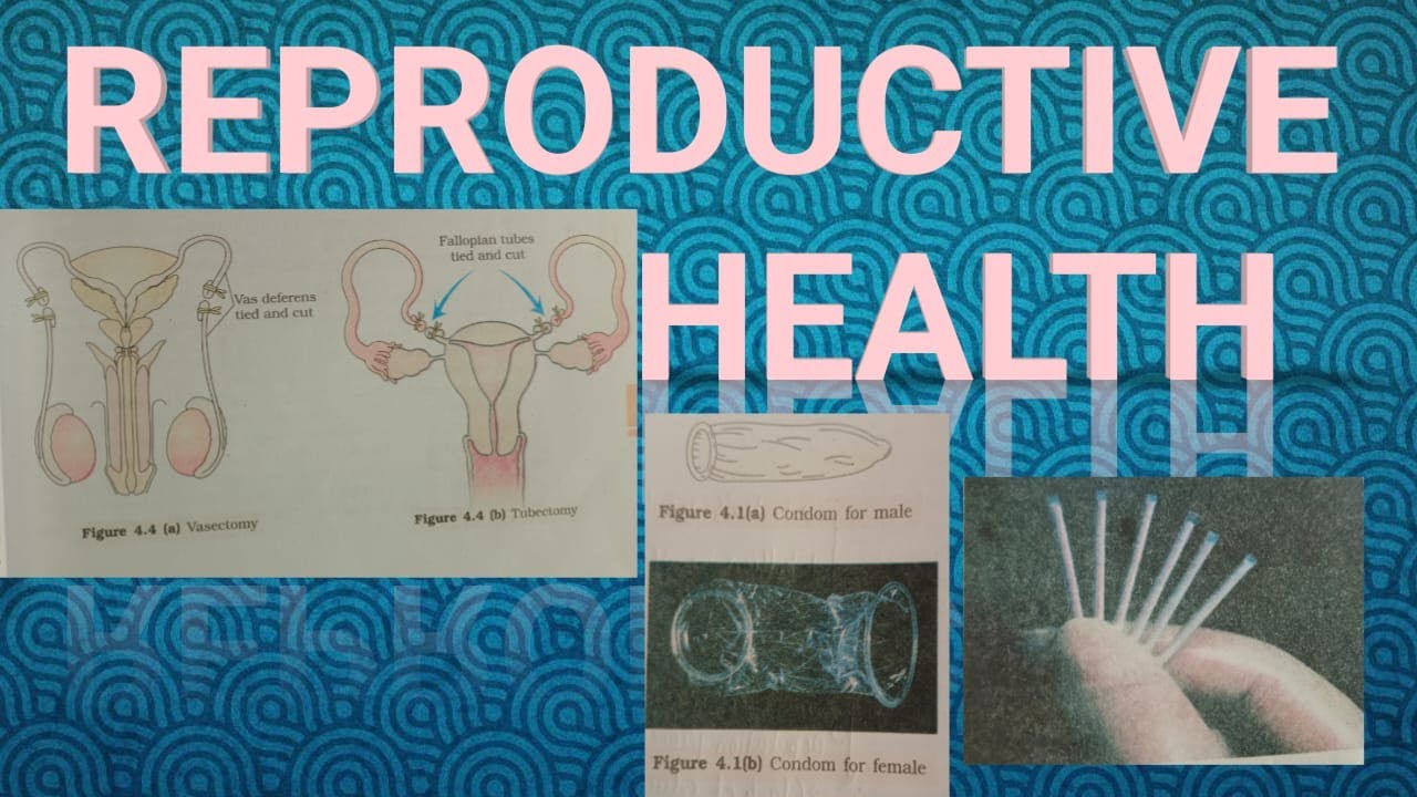 Reproductive Health for NEET Part 1 by SUCCESS ACADEMY Team. - YouTube