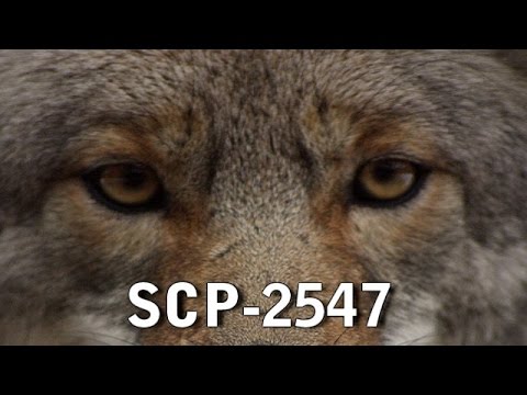 SCP-2547 "Dog Days of Summer" Addendum-2547-1-01 - YouTube