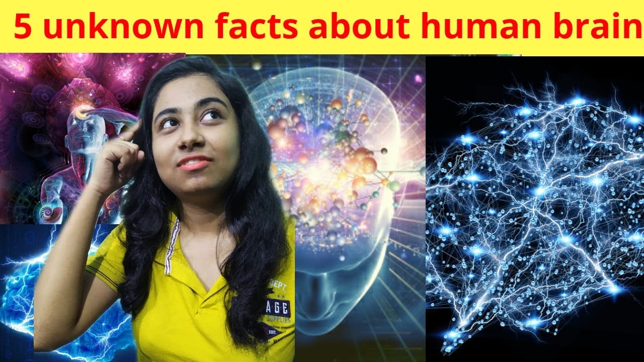 5 Amazing Facts About The Human Brain IN HINDI YouTube 5-amazing-facts-about-the-human-brain-in-hindi-youtube