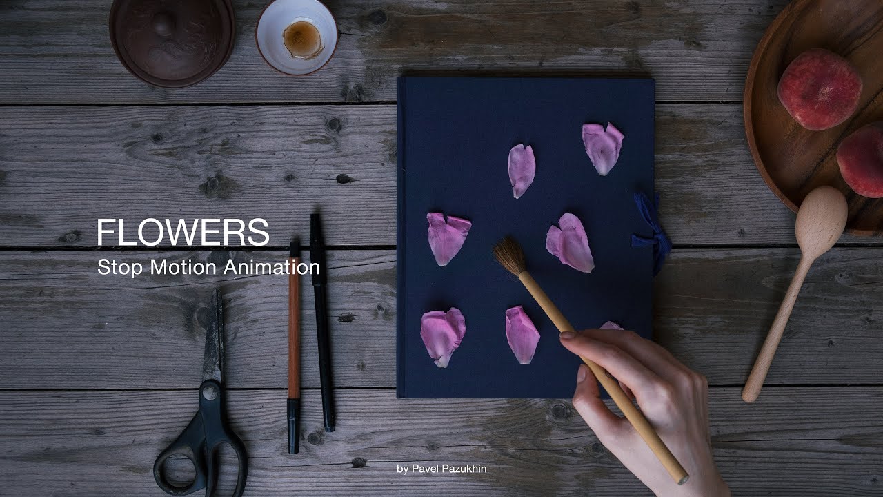 Flowers | Stop Motion Animation - YouTube