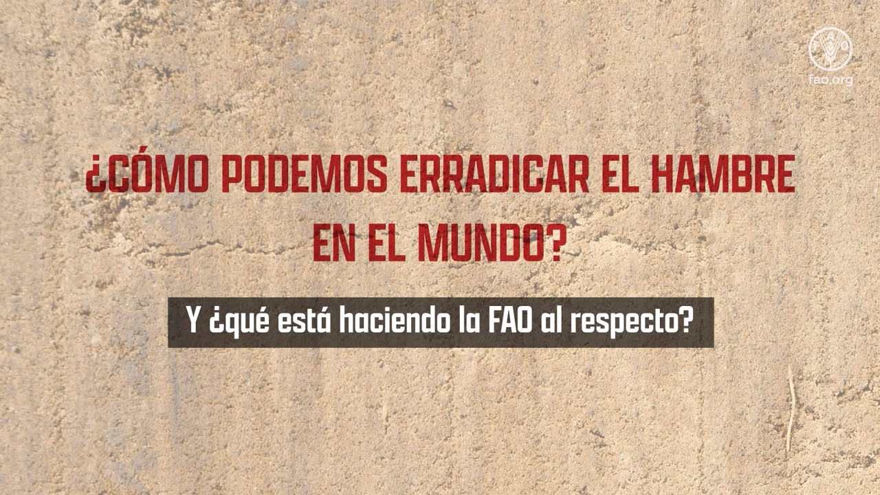 ¿Qué es la FAO? - YouTube