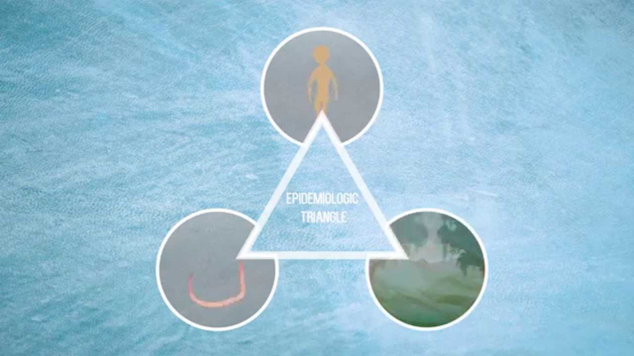 Epidemiologic Triangle| Animation - YouTube