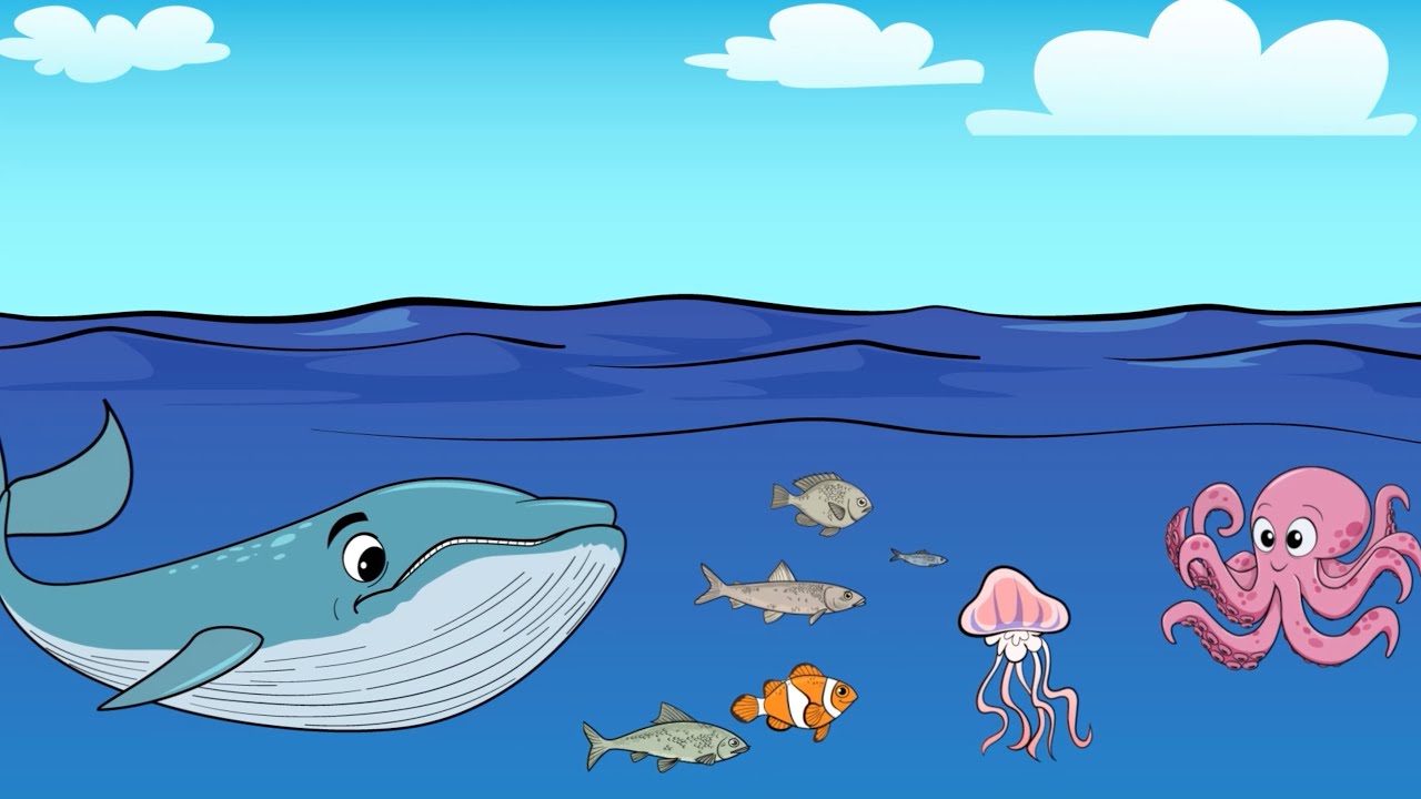 God Creates Birds and Fish — Preschool Kids Worship — May 15, 2022 ...