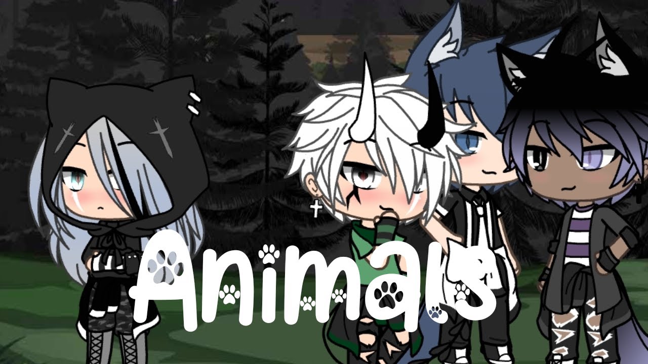 Animals glmv - YouTube
