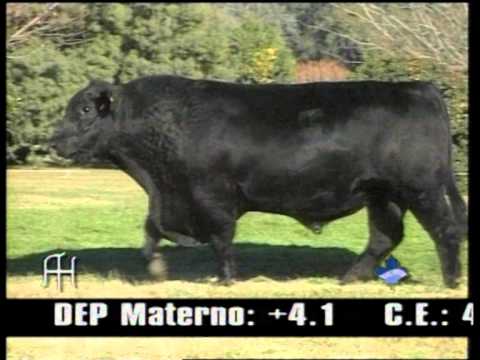 Max - Stevenson Maximum 930C - YouTube