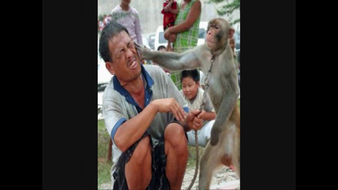 You Used To Slap Me Around - YouTube
