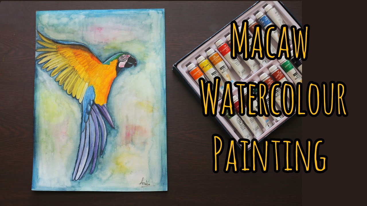 MACAW WATERCOLOUR PAINTING/WATERCOLOUR PRACTICE - YouTube