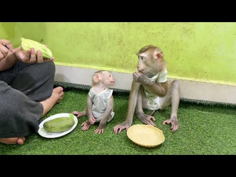 Adorable Bubu Sit Turn Backward To Talkative With Lovely Sister Doni ...