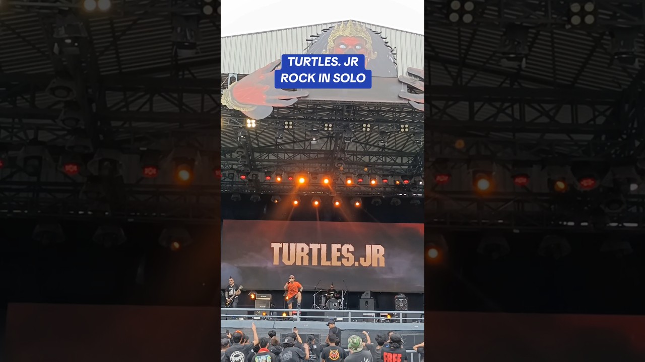 TURTLES JR A JOURNEY OF ROCK IN SOLO #solo #rockinsolo #turtlesjr # ...
