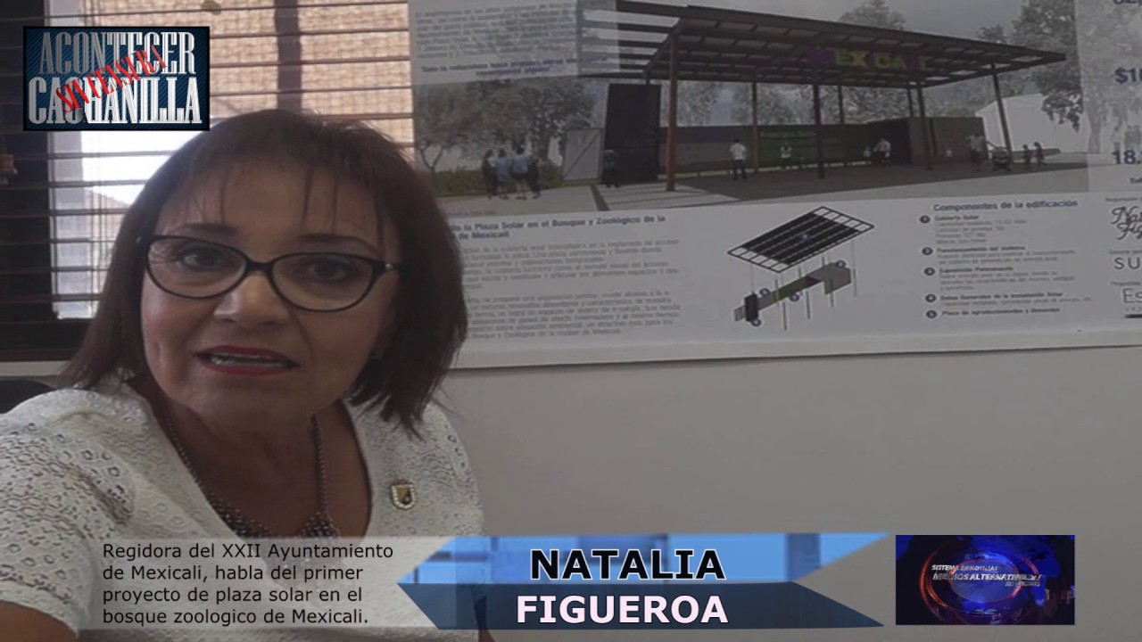 REGIDORA NATALIA FIGUEROA PRESENTA PROYECTO DE PLAZA SOLAR EN MEXICALI ...