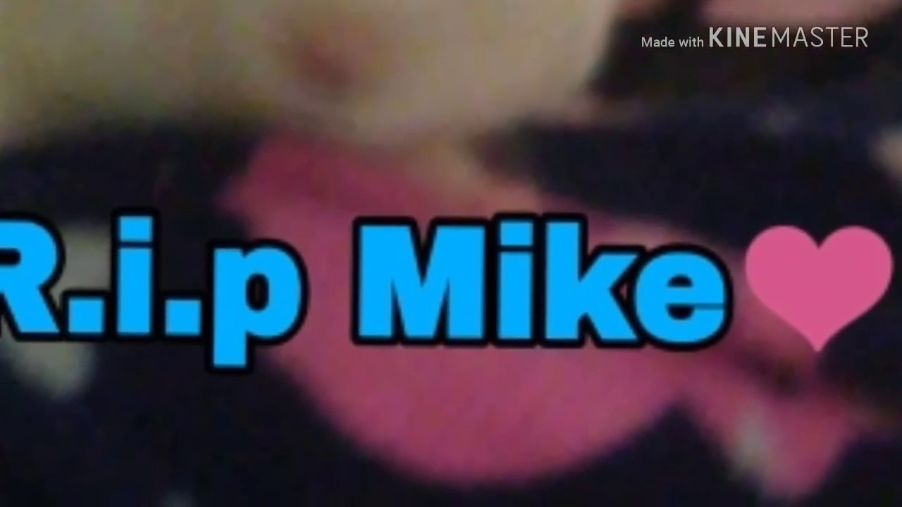Rip Mike - YouTube