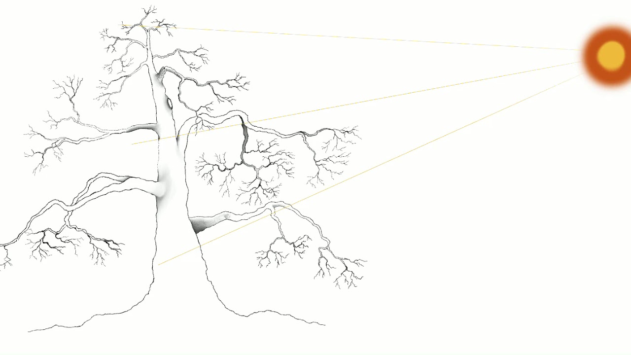 2nd iPad Tree Drawing - YouTube