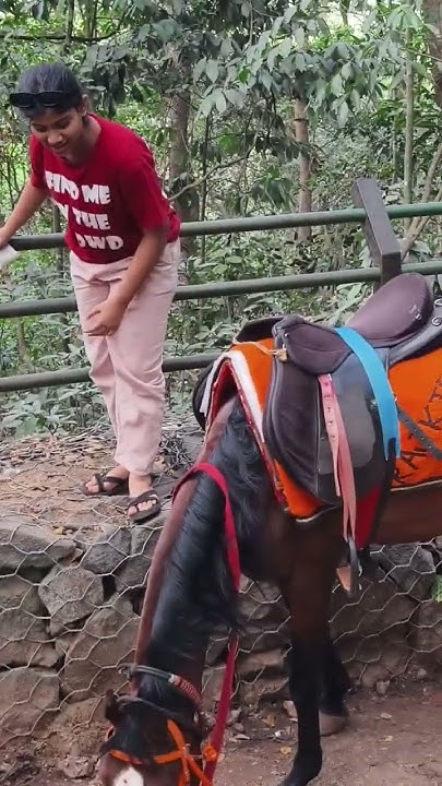 I love Horse riding!!! - YouTube