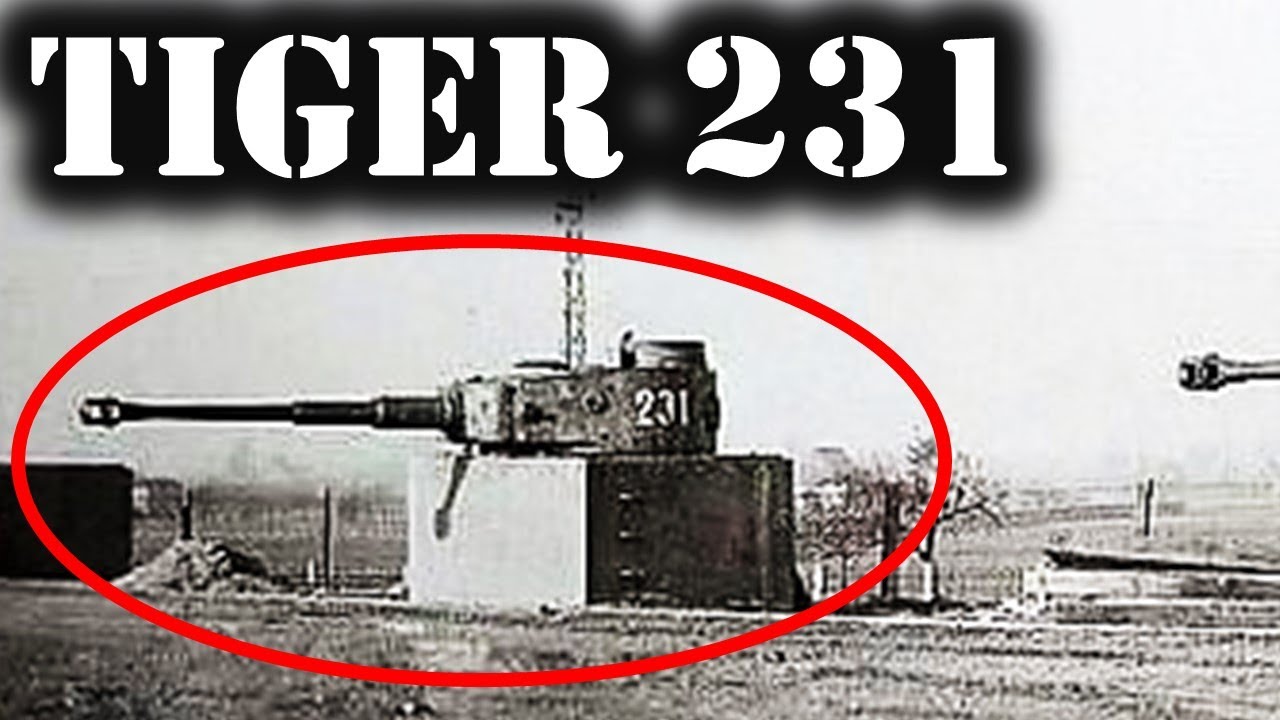 ¿Qué Ocurrió con el TIGER 231? El Final de un Guerrero Legendario - YouTube