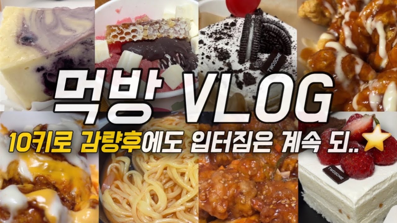 먹방 브이로그 디저트 다이어트 핫치즈빅싸이순살 치밥 요아정 투썸 화이트스초생 빵먹방 케이크먹방 슈프림양념치킨 아이스박스 깐풍기