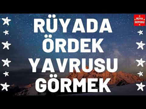 Rüyada Ördek Yavrusu Görmek - Rüya Tabiri - [Rüya Deposu]