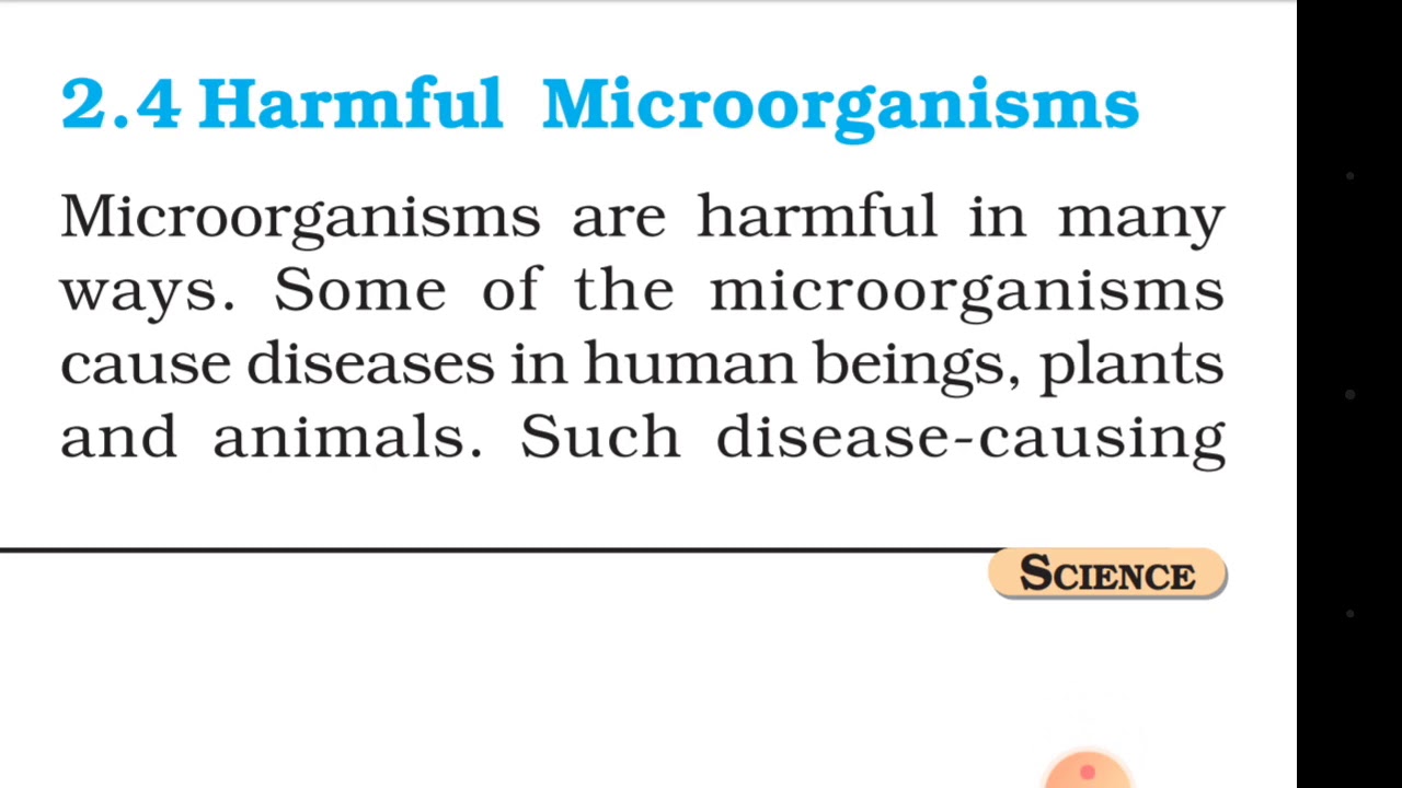 NCERT || SCIENCE || CLASS 8 || CHAPTER 2 [Harmful Microorganisms] - YouTube