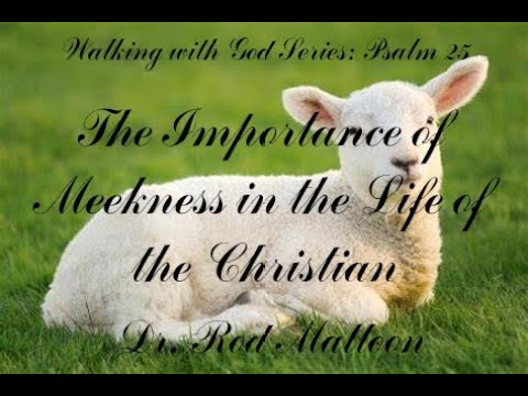 The Importance of Meekness in the Life of the Christian: Psalm 25 by Dr ...