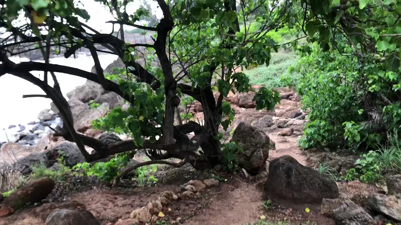 Pupukea Beach Park - Hawaii - YouTube