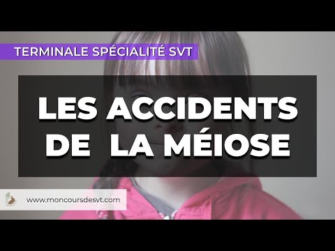 Les accidents de la méiose : trisomie et monosomie - SVT - Terminale