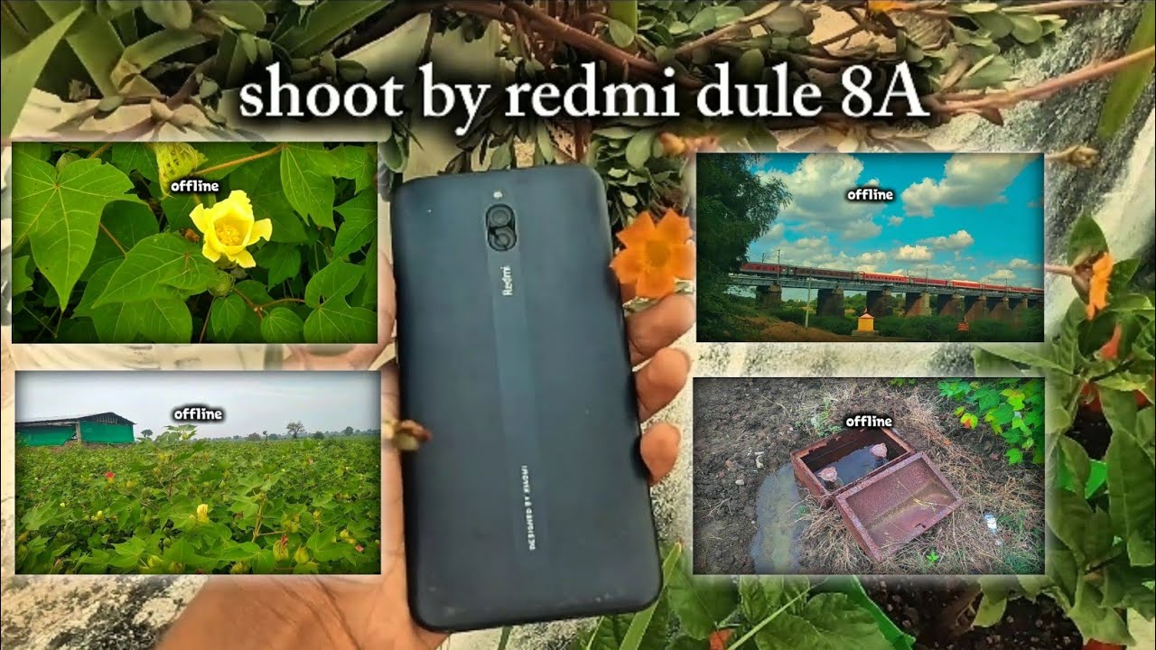 Shoot by redmi dual 8A Village cinematic clips 📸🌱 #mobilephotography # ...
