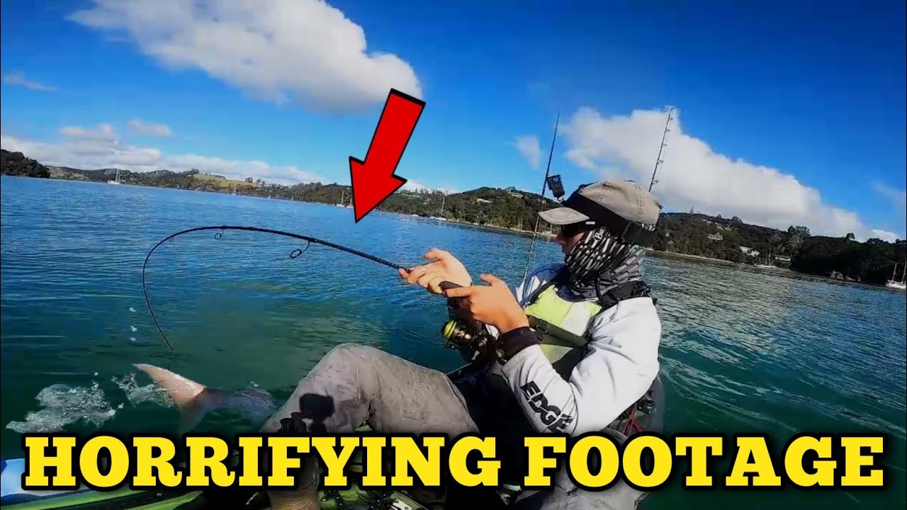 4 Most Disturbing Fishing Encounters Caught on Camera (Real Footage ...