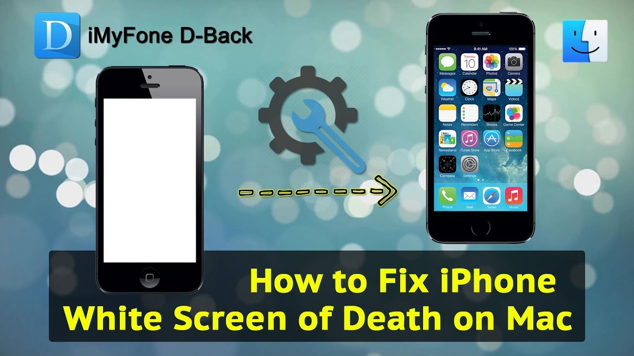How to Fix iPhone White Screen of Death on Mac - YouTube