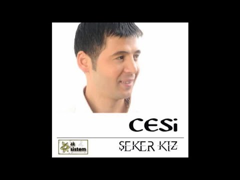 CESİ - TOSUN